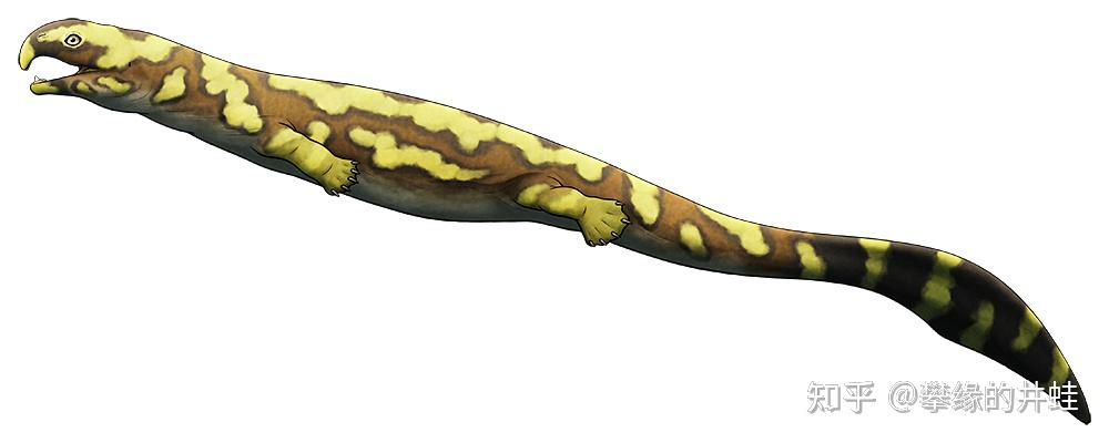 【地球演义】第二百七十六回 九龙颂8：等闲入海即乘潮 - 知乎