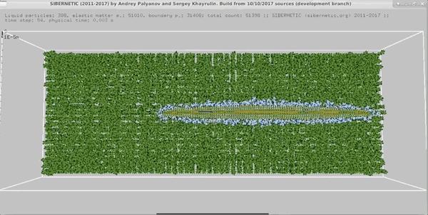 OpenWorm：用程序模拟的秀丽隐杆线虫 - 知乎