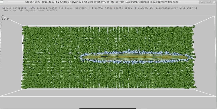 OpenWorm：用程序模拟的秀丽隐杆线虫 - 知乎