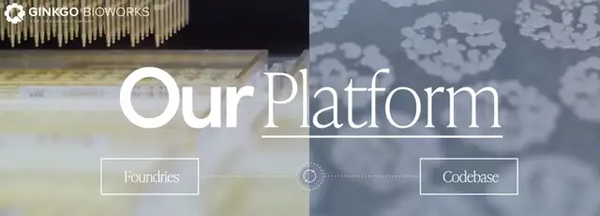 Ginkgo 的「平台」故事是否值150亿美元？ - 知乎