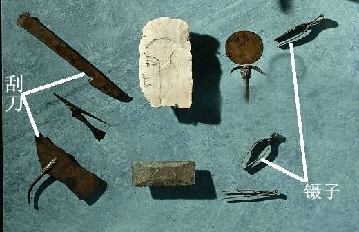 古埃及人戴假发、沉迷撸猫、男女化妆， 4000多年前，他们就活得比我们溜 - 知乎