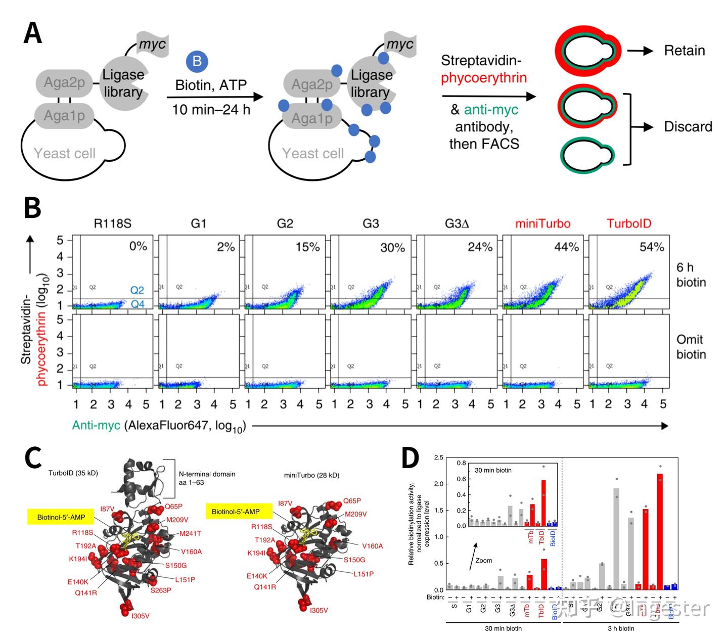 邻近标记技术与邻近蛋白质组学简介 - 知乎