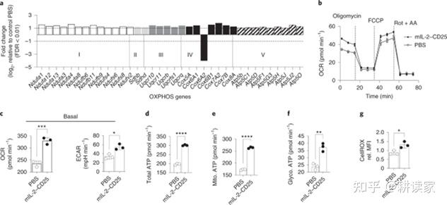不同持续时间的白细胞介素2受体信号传导后调节性T细胞的动态转录活性和染色质重塑 - 知乎