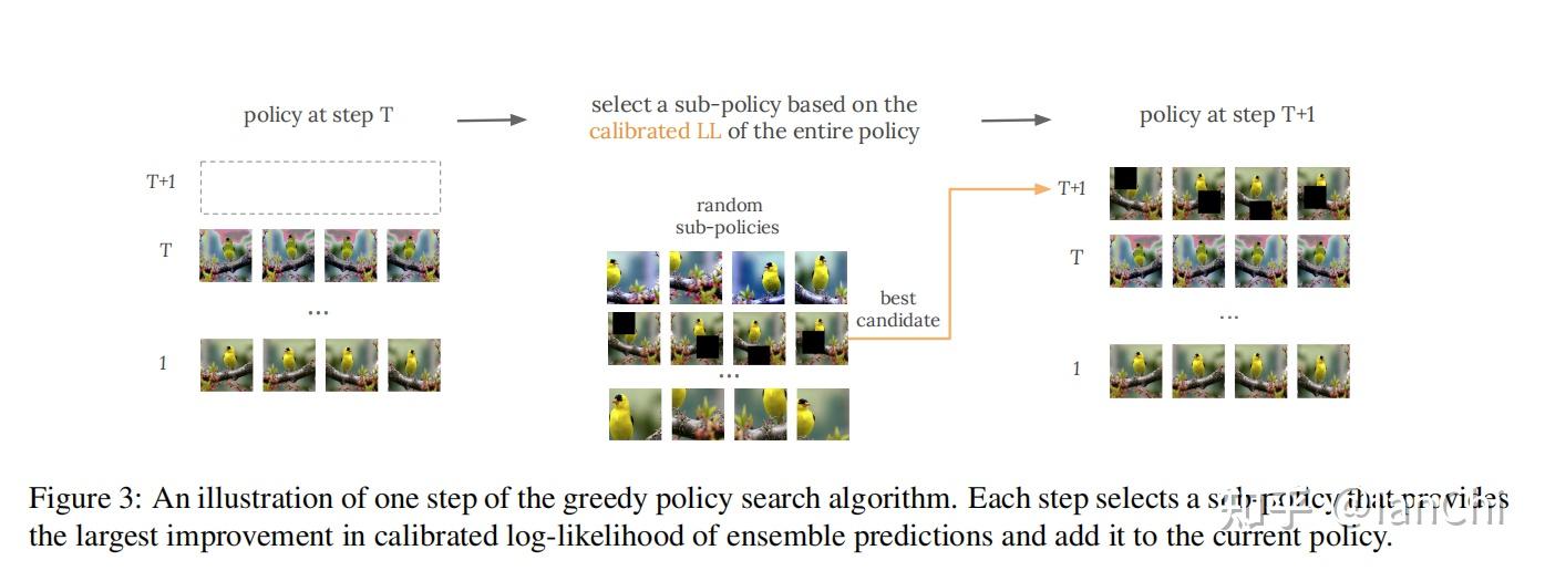 简单聊聊 Test Time Augmentation - 知乎
