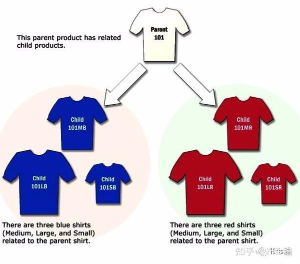 亚马逊如何理解和创建父子变体？ - 知乎