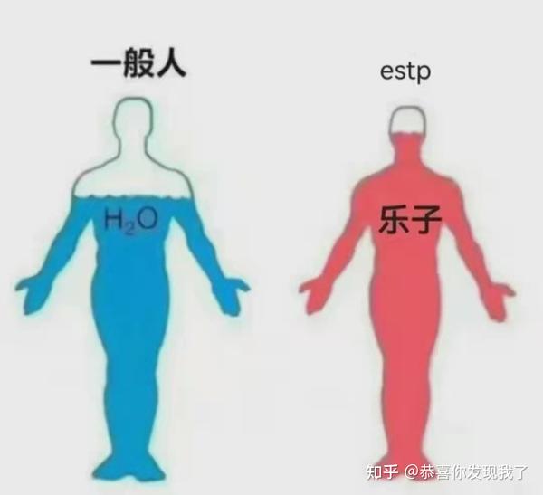 完整版estp型人格分析 知乎