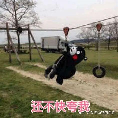 申请秘籍｜关于Argue的那些事儿（更新两名20fall真实argue案例） - 知乎