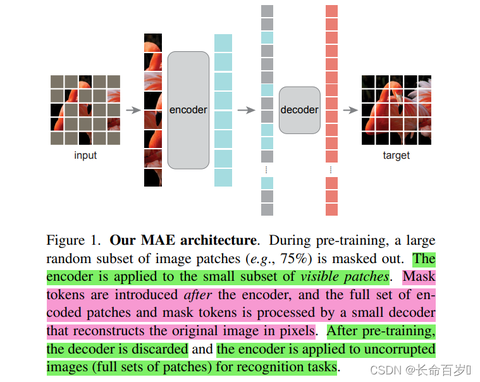 【论文阅读】MAE: Masked AutoEncoder - 知乎