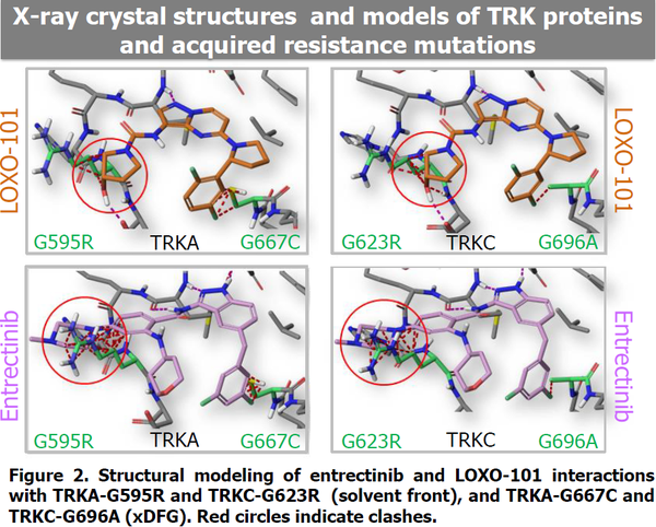 大环分子 -- LOXO-195 & TPX-0005 - 知乎