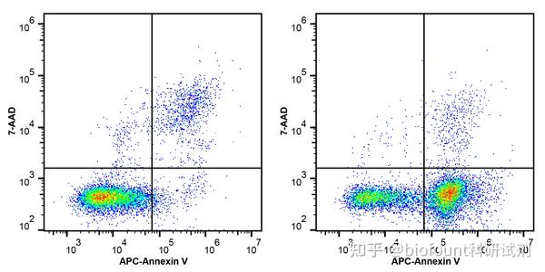 7-氨基放线菌素D（7-AAD）；荧光DNA染料 - 知乎