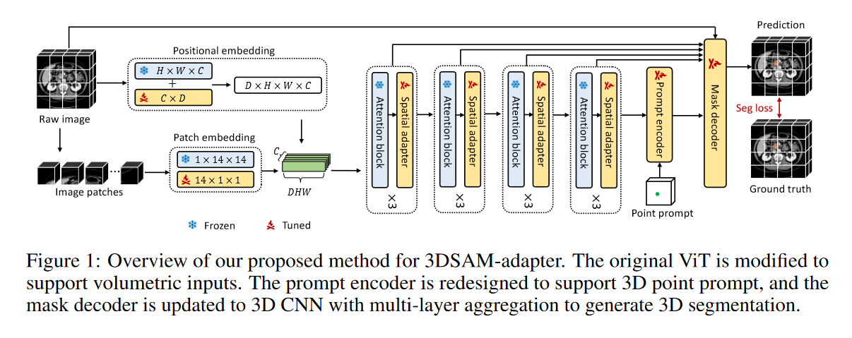 SAM在医学影像中的应用（最新） - 知乎
