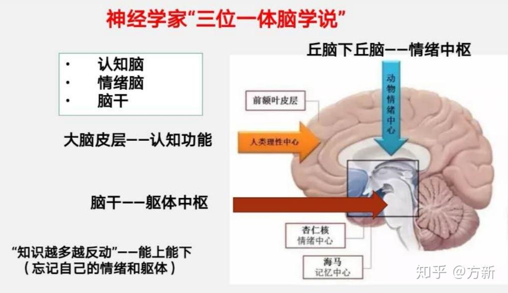 完整版来了——危机管理中的SAFER-R模型 - 知乎