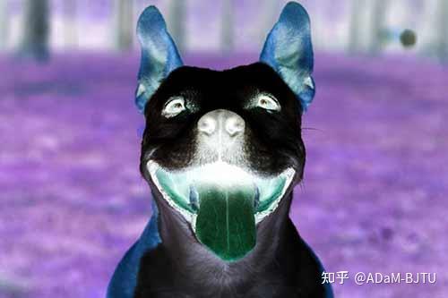 Albumentation文档 - 知乎