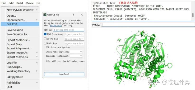 计算干货||PyMOL基础与相互作用分析 - 知乎