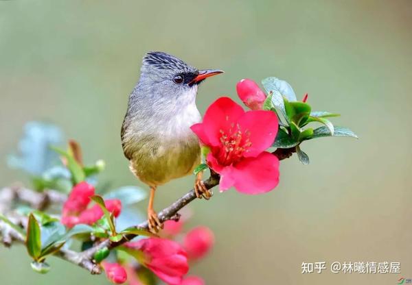 女人出轨,婚姻能维持多久?无爱的婚姻注定是不幸福的 知乎