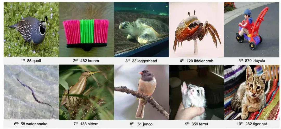 DiffMoE：动态Token选择助力扩散模型性能飞跃，快手&清华团队打造视觉生成新标杆！ - 知乎
