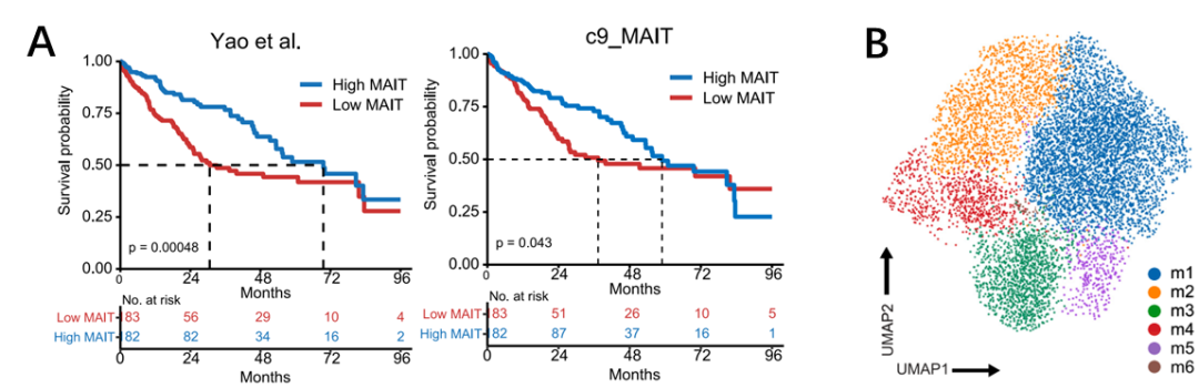 Cell：空间单细胞蛋白组学揭秘肝细胞癌中的细胞互作机制 - 知乎