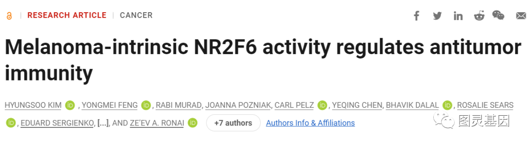Sci Adv | 黑色素瘤固有NR2F6活性调节抗肿瘤免疫 - 知乎