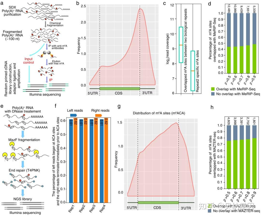 DRS专题：如何开展DRS测序的后续验证实验？看这里给出的标准模板 - 知乎