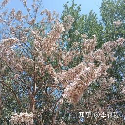 Python编程高频核心英语词汇 - 知乎