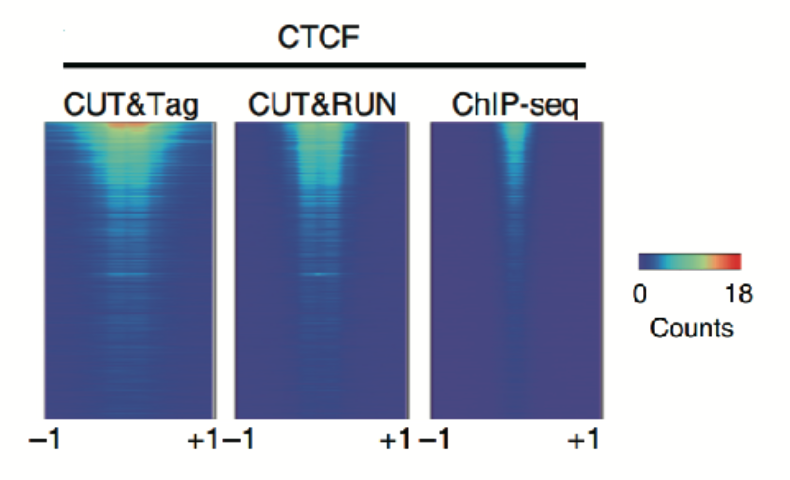 景杰生物CUT&Tag科研服务上线啦~ - 知乎