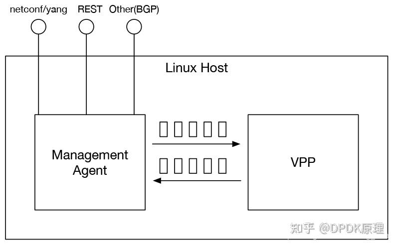 浅谈Vector Packet Processing（VPP） - 知乎