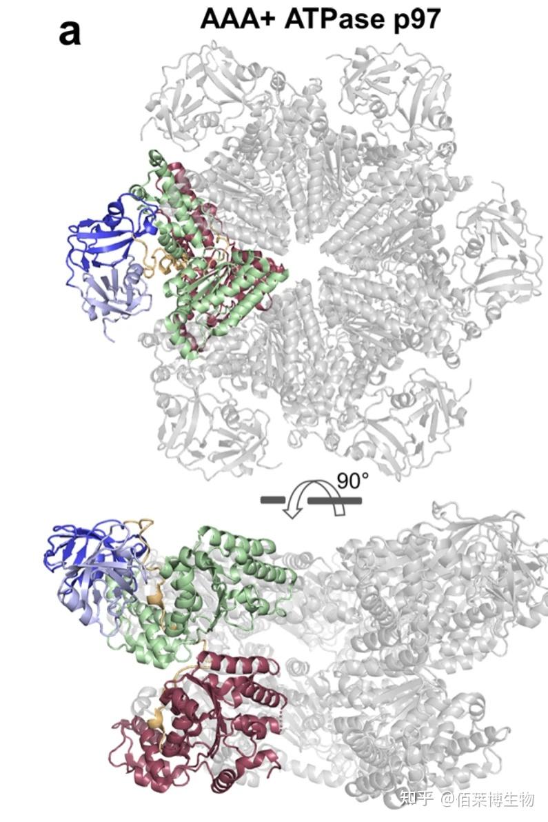 BLI应用案例：利用BLI技术进行小分子药物筛选 - 知乎