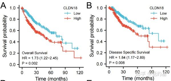 与CLDN18.2靶点相关的研究进展 - 知乎