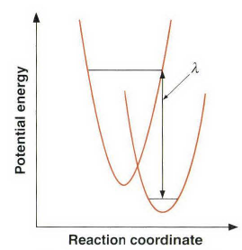 《现代物理有机化学》笔记 第七章（4）复杂反应和Marcus理论的初步理解 - 知乎