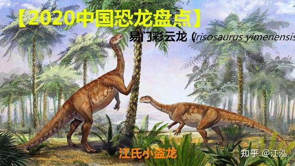 【2020中国恐龙盘点】易门彩云龙（Irisosaurus yimenensis） - 知乎