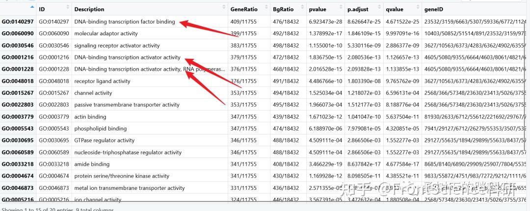 aPEAR: an R package for enrichment network visualisation - 知乎