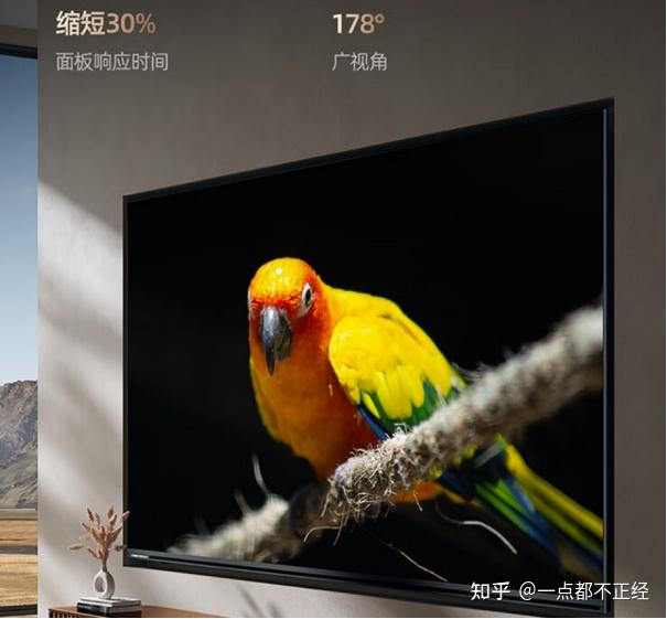 高端MiniLED电视分享推荐！2024最值得买的MiniLED电视——海信E8N Pro对比TCL 新品Q10K，究竟哪款能抢占极致影音党心头好的位置？