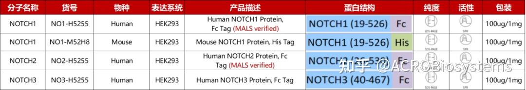 【最强组合】肺癌治疗热门靶点——DLL3 & Notch - 知乎