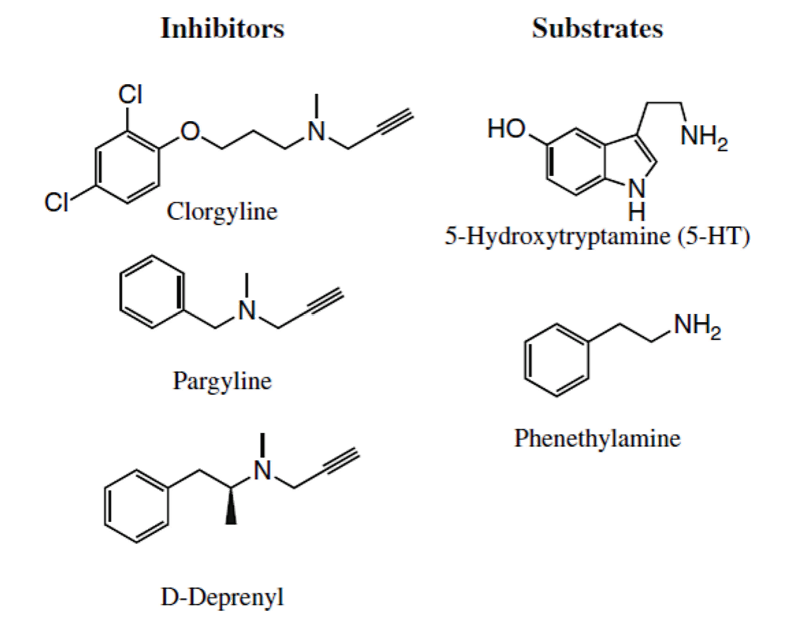 Non-P450酶介导的代谢研究和体外评估策略 - 知乎