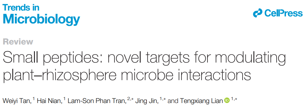 Trends Microbiol | 华南农业大学发表小肽调控植物-根际微生物互作综述 - 知乎