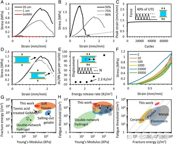 《PNAS》软、强、韧、耐用的蛋白质纤维水凝胶 - 知乎