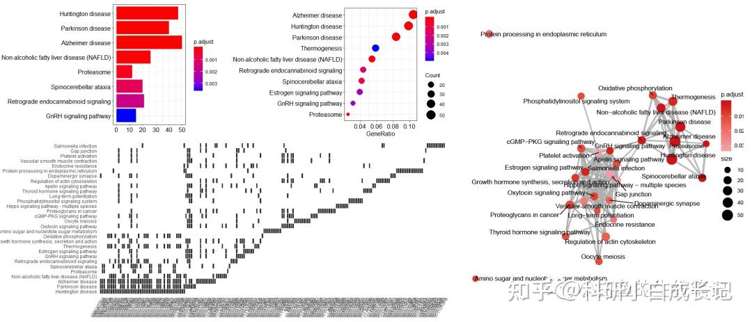 使用R包clusterProfiler进行GO/KEGG富集分析（有参/无参） - 知乎