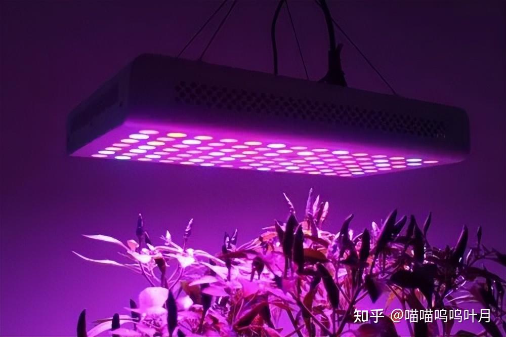 植物生长灯上亚马逊美国站要求的UL8800报告如何办理？ - 知乎