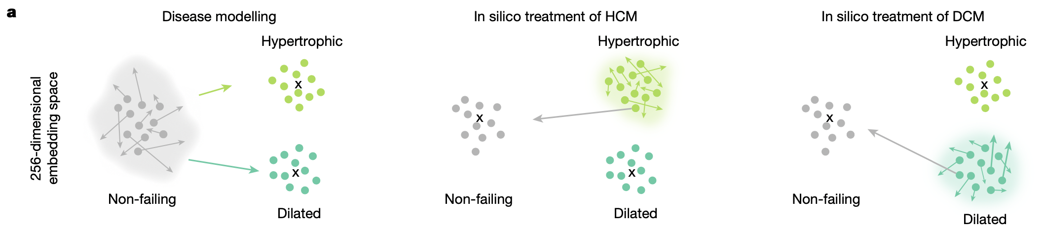 (五) Geneformer 技术解读 ｜ 利用基因名字排序进行语言建模 - 知乎