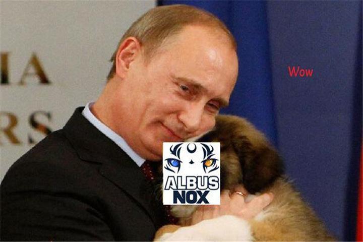 S6小组赛评论大爆炸D5：今天是普京生日，ANX击败了ROX Tigers - 知乎