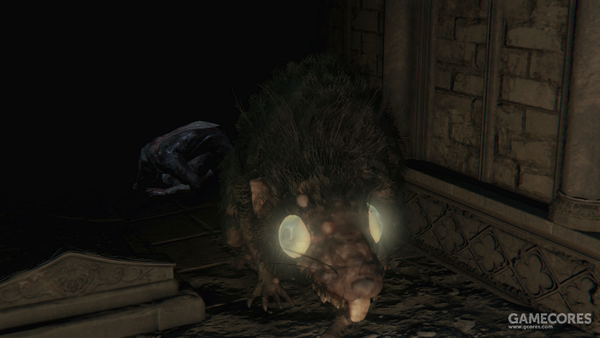 《血源诅咒》原型浅考：雅楠城与兽化病的原形 - 知乎