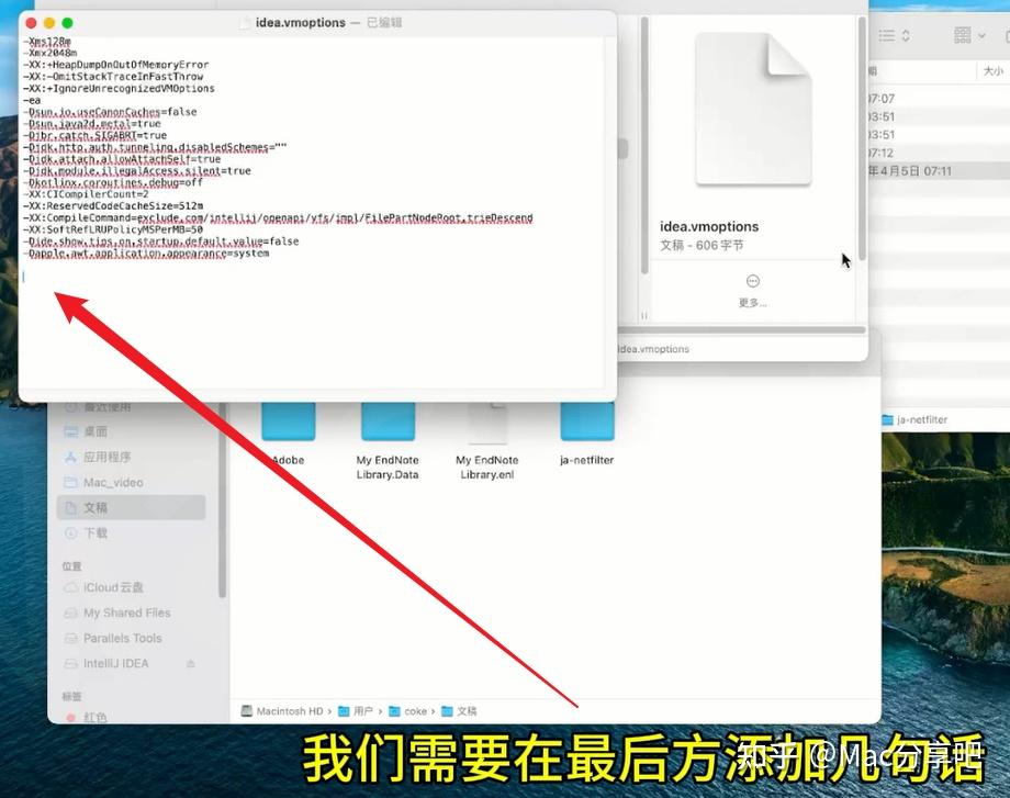 IntelliJ IDEA2024 for Mac Java代码编辑器 - 知乎