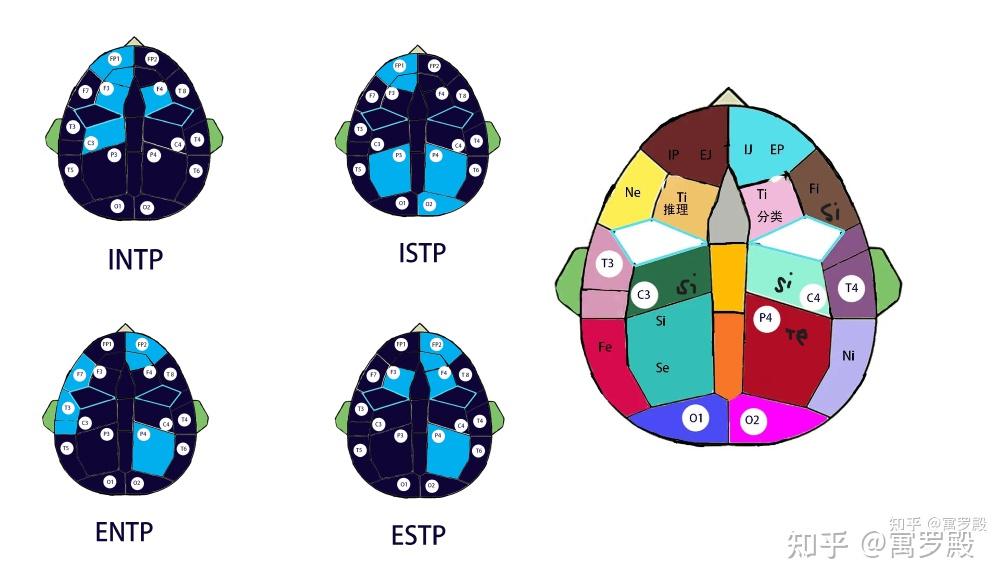 TP智效分析 Ti Te ,INTP ISTP ENTP ESTP，ISTP综合最优势，ENPT成功比例高 - 知乎