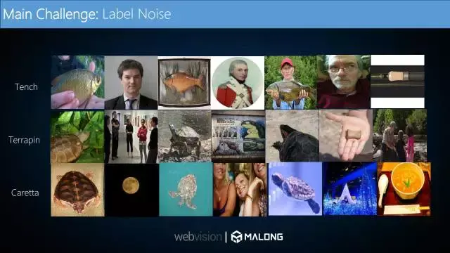 揭秘CVPR2017 WebVision图片分类竞赛冠军背后的技术 - 知乎