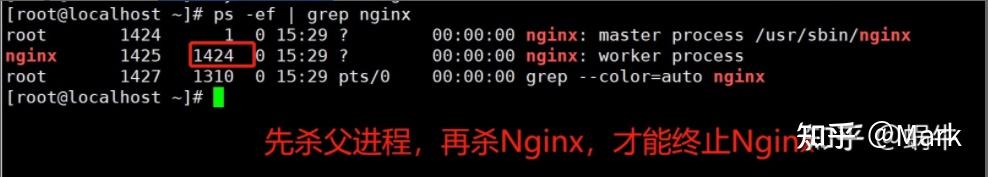 linux 进程信号（kill命令） - 知乎