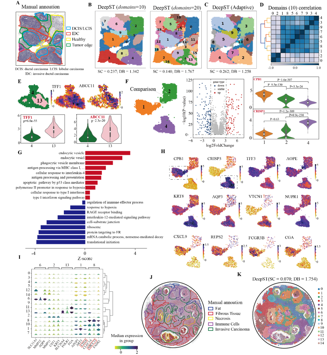 Nucleic Acids Res. | DeepST: 使用深度学习识别空间转录组的空间域 - 知乎