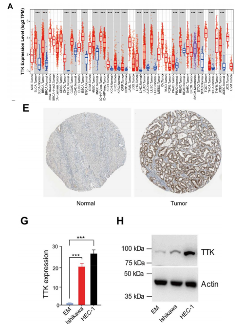 单基因分析的最高规格！4种组学的整合分析（转录组、蛋白组、表观组和单细胞组）+干湿结合=8+文章，快来抄作业！ - 知乎