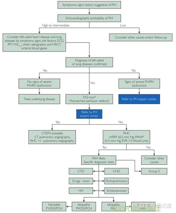 肺动脉高压的诊断与PAH危险分层 - 知乎