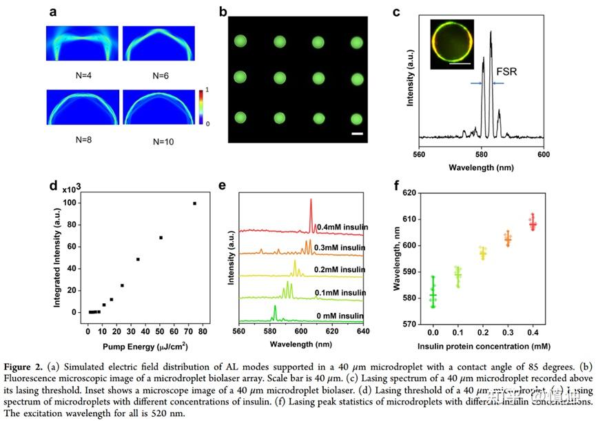 Monitoring Amyloidogenesis with a 3D Deep-Learning-Guided Biolaser ...