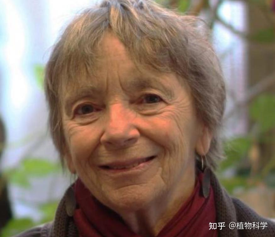 2023年美国国家科学院院士植物生物学领域增选情况 - 知乎